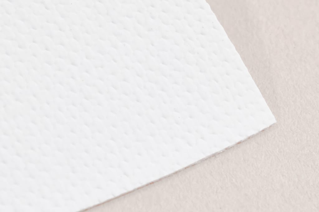 Shop Lyve Matte Fine Art Canvas Online | Breathing Color