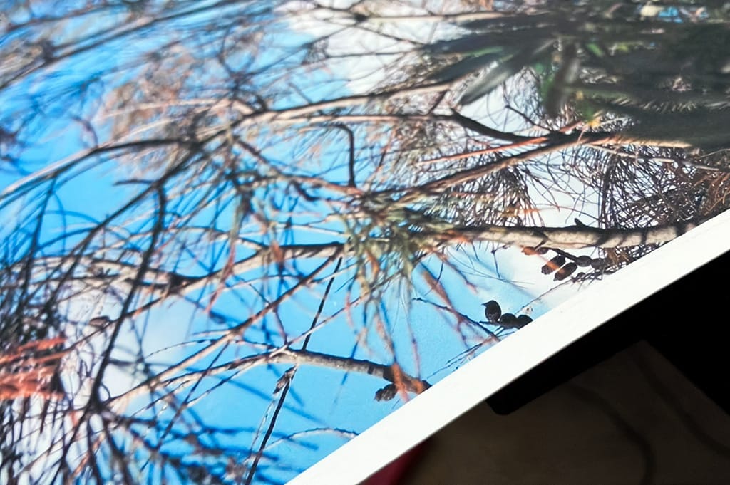 Shop Vibrance Baryta Matte Online | Breathing Color