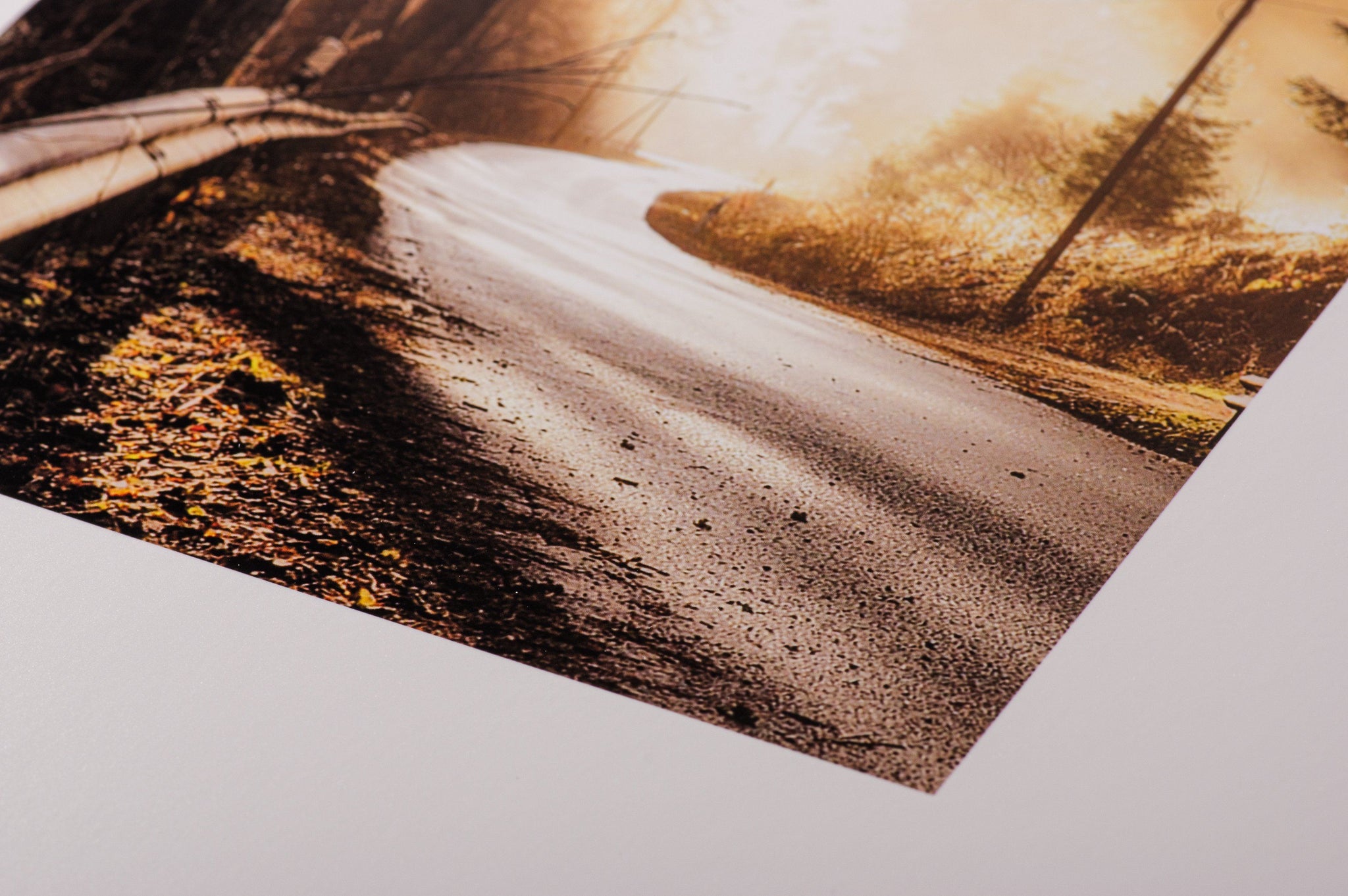 Shop Vibrance Metallic Photo Paper Online | Breathing Color